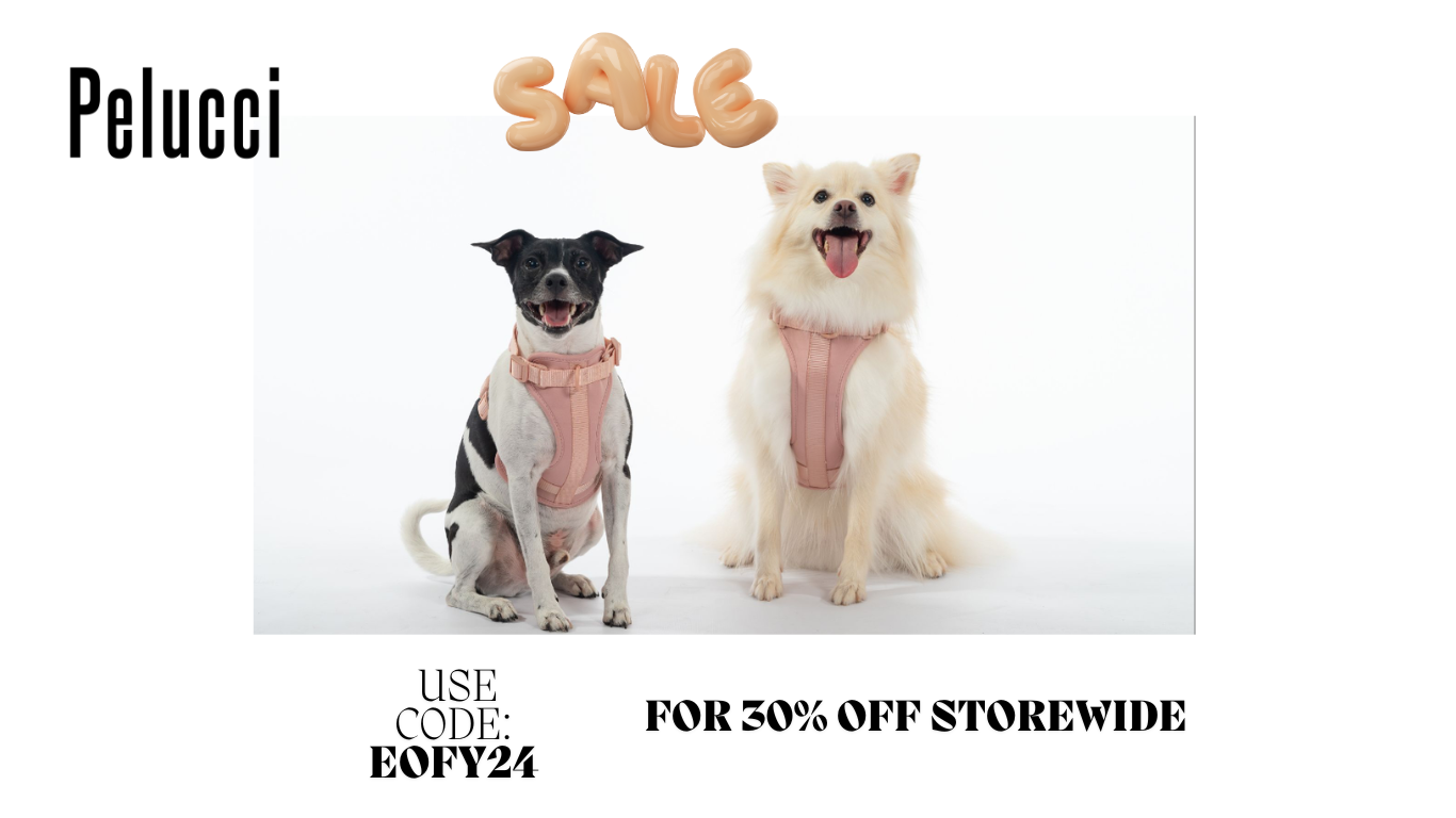 Stylish Accessories and Human-Grade Supplements for Dogs – Pelucci