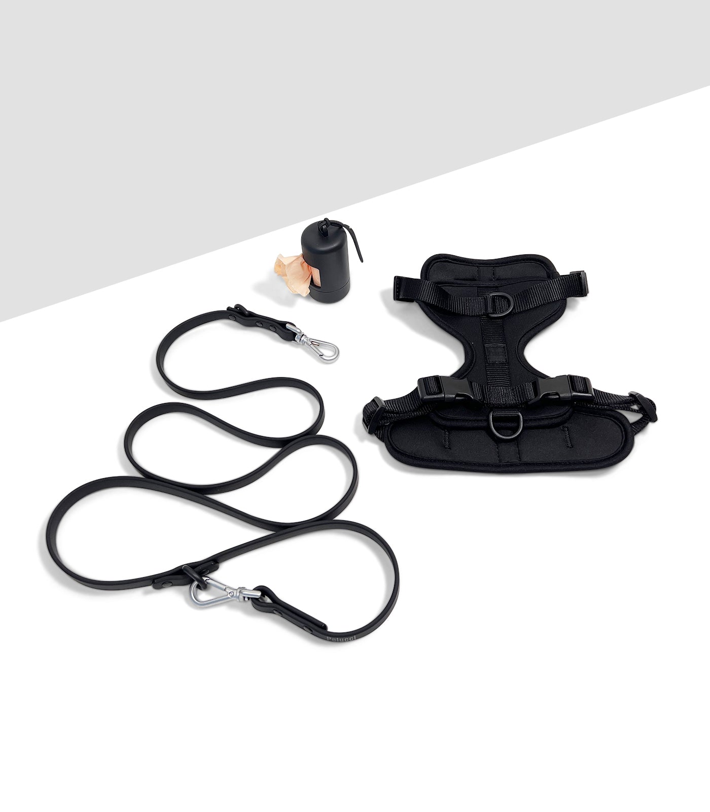 Stylish Accessories and Human-Grade Supplements for Dogs – Pelucci