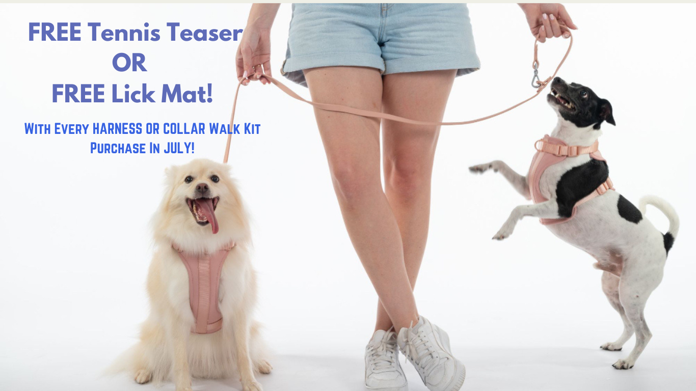Stylish Accessories and Human-Grade Supplements for Dogs – Pelucci